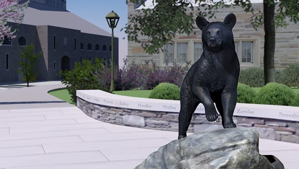 Cornell University | Bring Touchdown Home