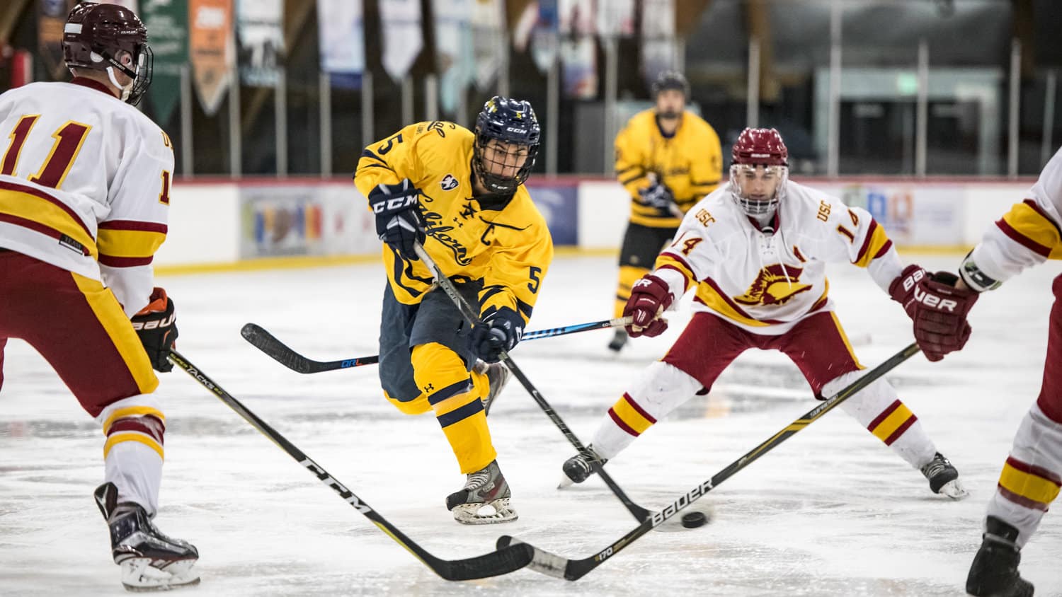 Past Projects | California Ice Hockey | Spring 2018 Campaign | Updates