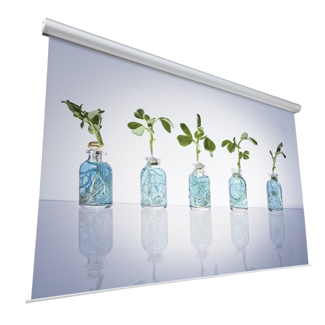 Lerret Motorisert 16:10, 313x500cm, Standard duk Scandec Systemer