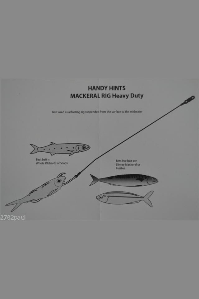 Hooked Online Wilson Heavy Duty Mackerel Fishing Rig 3x4/0 Hook-Set Up ...