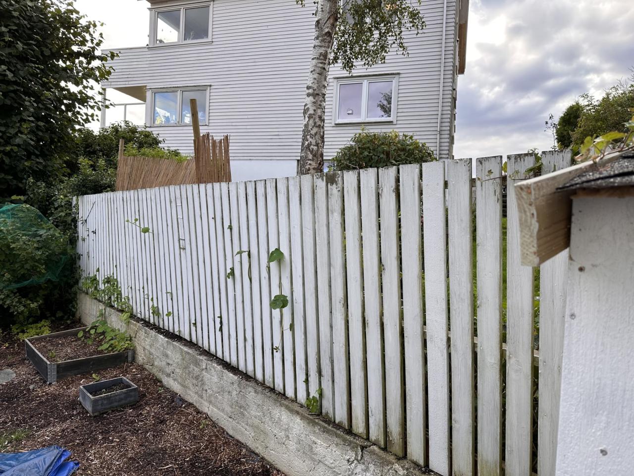 Tregjerde - Stavanger | Mittanbud