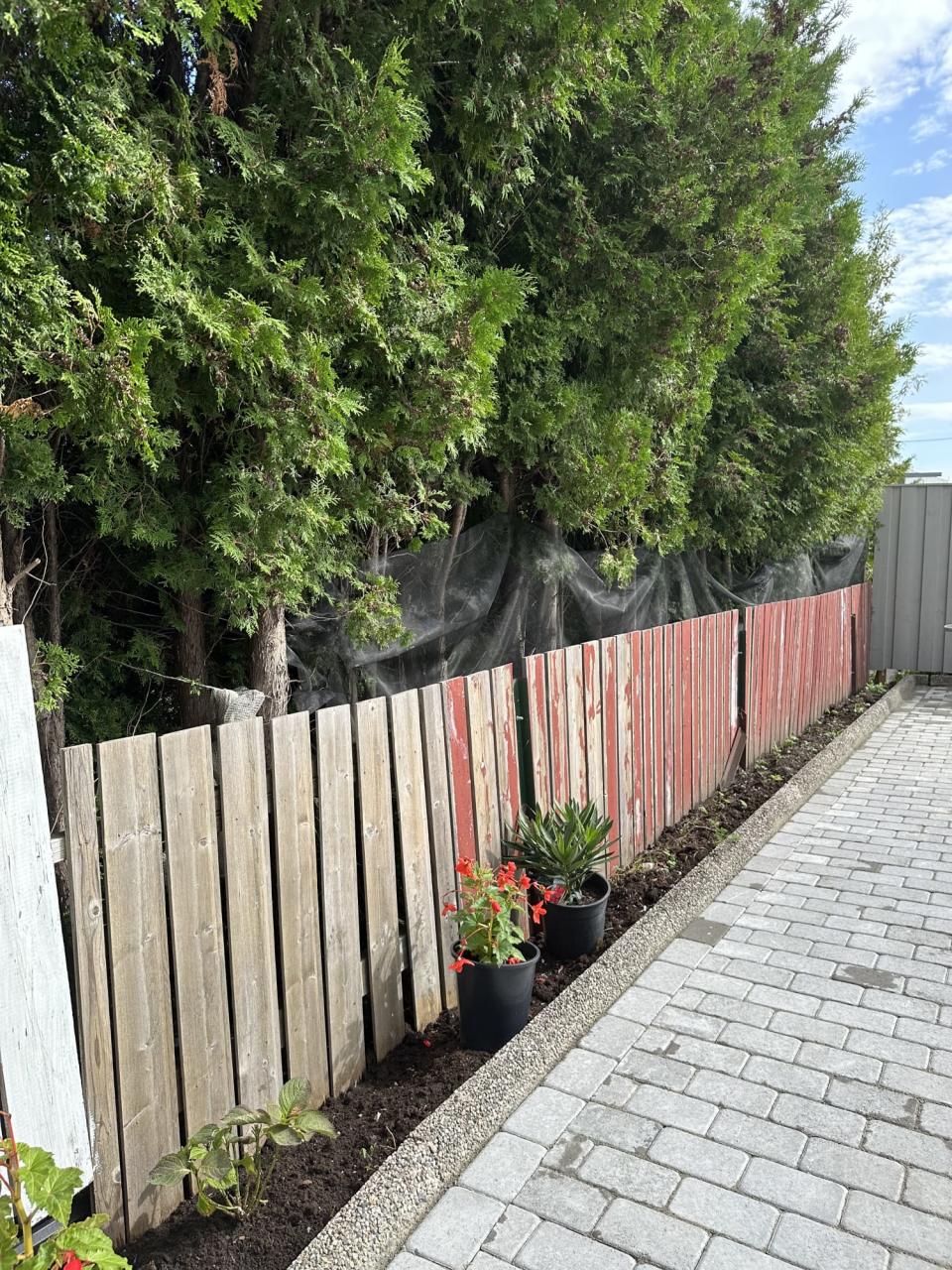 Tregjerde - Horten | Mittanbud