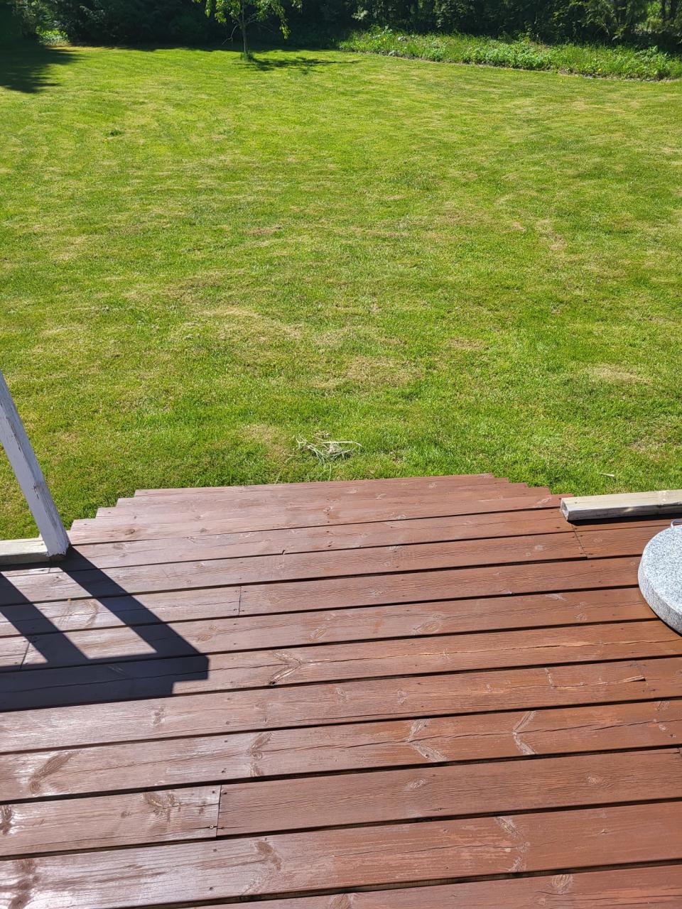 Tregjerde - Frogn | Mittanbud