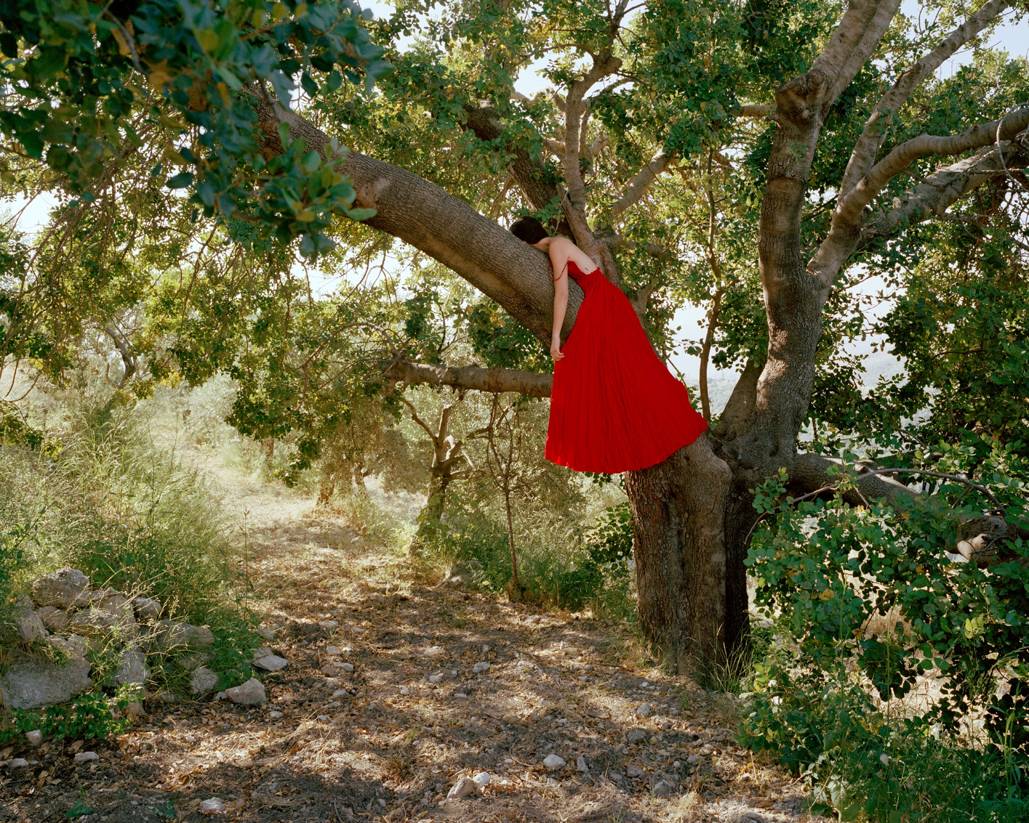 School of Visual Arts | SVA | New York City | Events & Exhibitions | i3 ...
