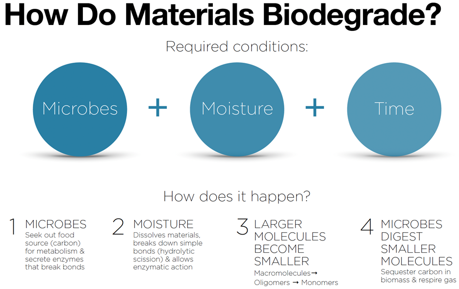 Landau Forward's CiCLO Technology | Scrubs & Beyond