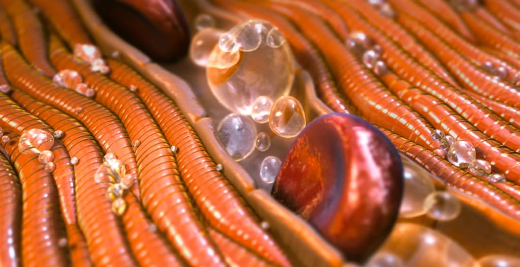 👉️ Suunto RGBM - Scuba Dive Argentina