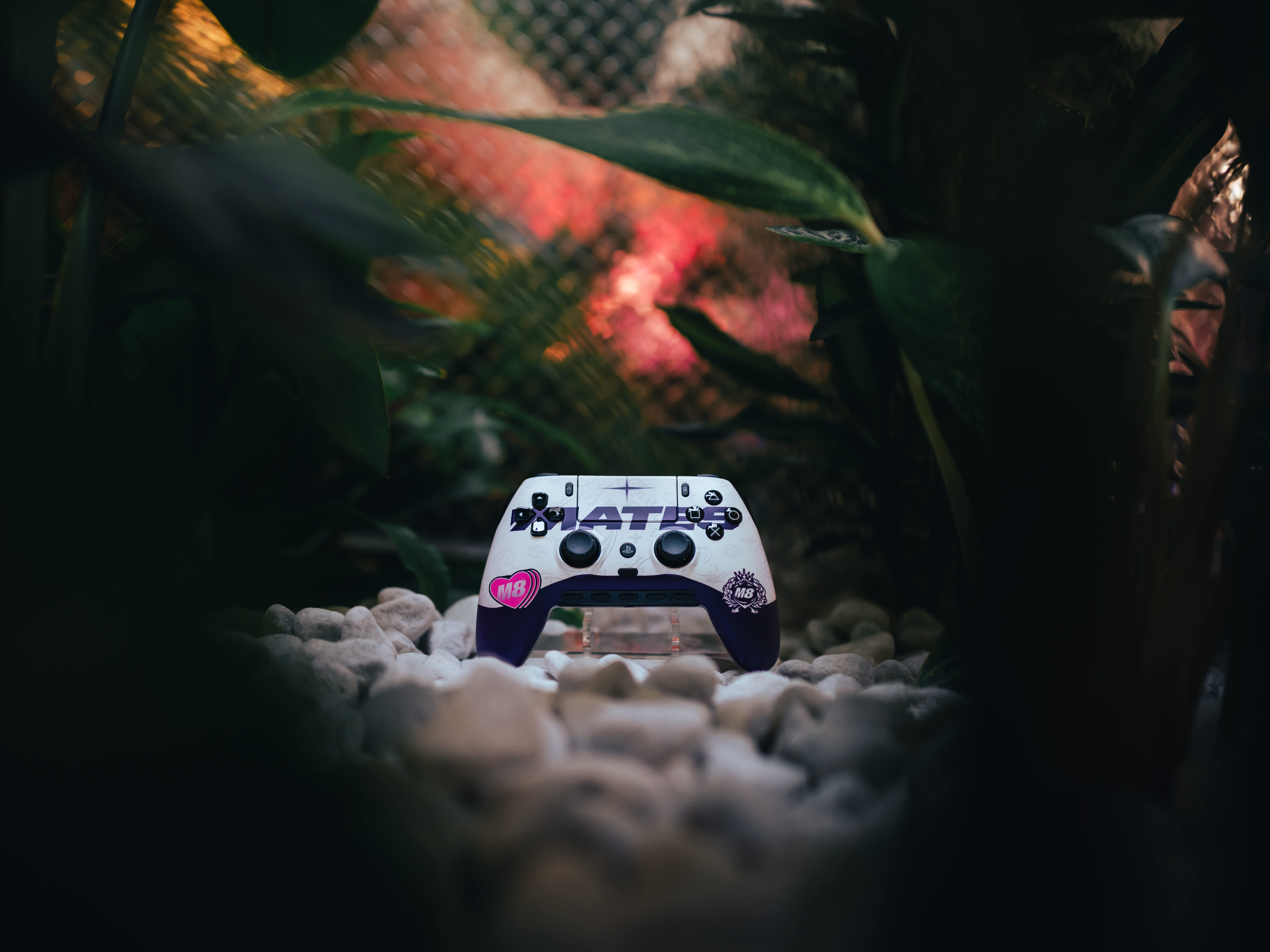 Manettes de Gaming pour PC - Manette personnalisable | SCUF®
