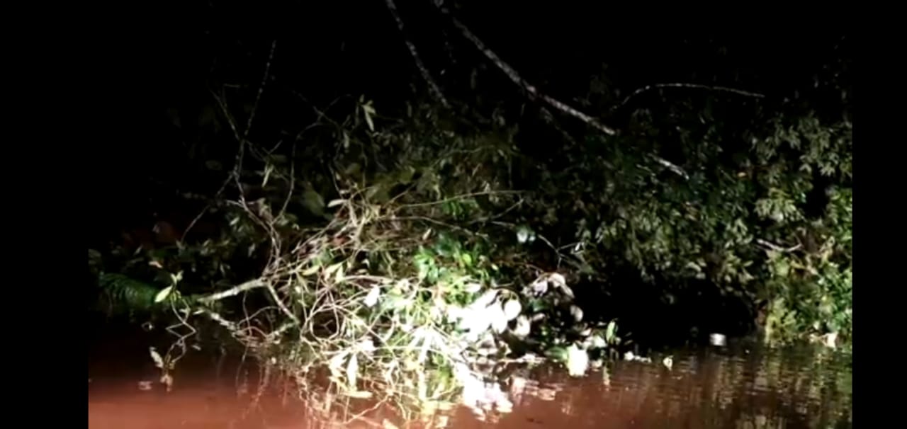 Jalan Penghubung Liwa – Krui Longsor, Arus Lalu Lintas Lumpuh Total ... Jalan Penghubung Liwa – Krui Longsor, Arus Lalu Lintas Lumpuh Total ...