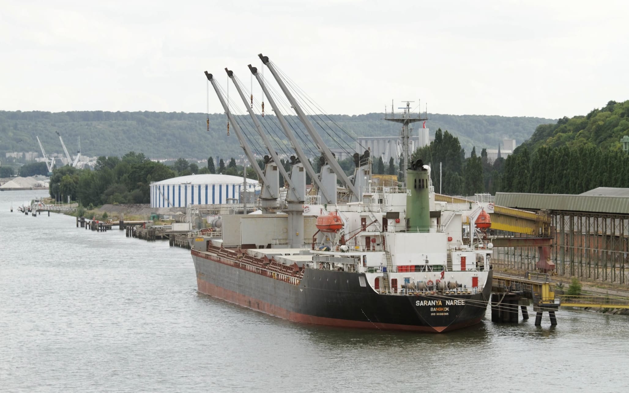 Bulk Carrier Safety | Seably