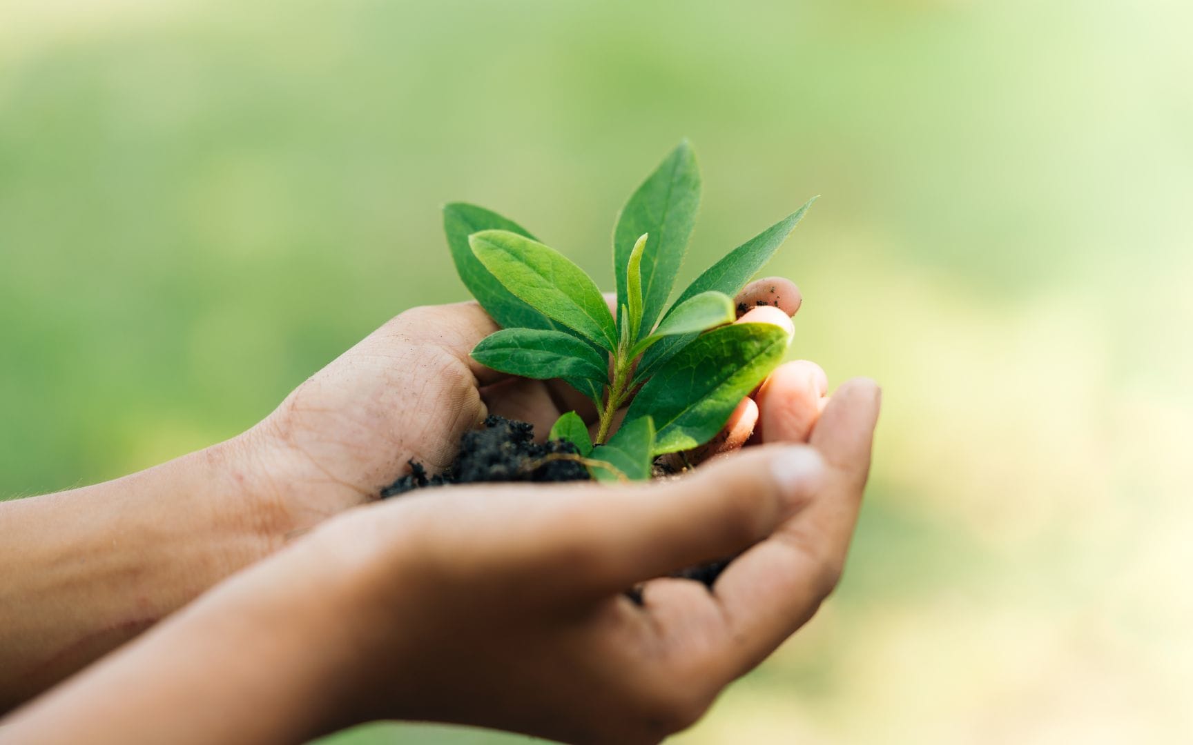 The Urgency of Our Planet - Addressing Environmental Issues Head-On ...