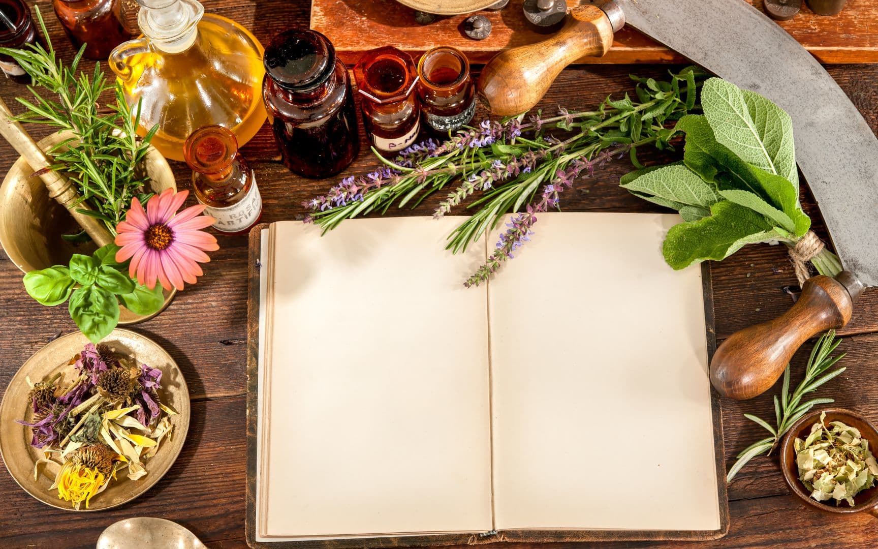Nature's Pharmacy - Exploring the Healing Power of Biodiversity | Seably