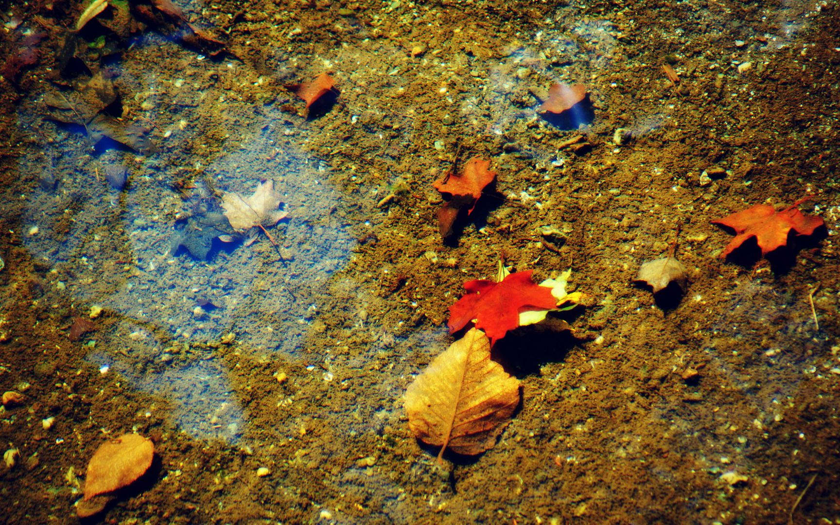 Water Matters - Preserving Earth's Most Precious Resource | Seably