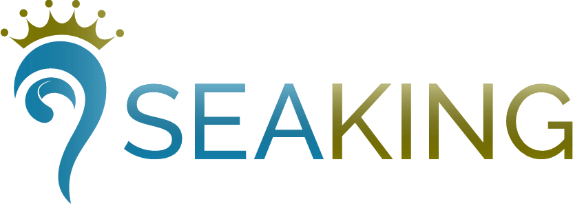 SeaKing Modern Websites, SEO, Advertising, CRM, and Marketing ...