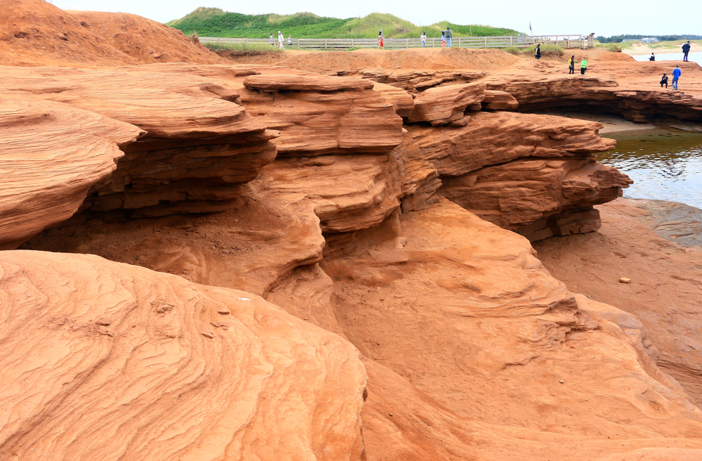 Cavendish Cliffs | PEI - See Sight Tours