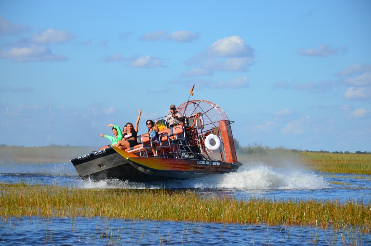 Everglades Safari National Park Airboat - See Sight Tours