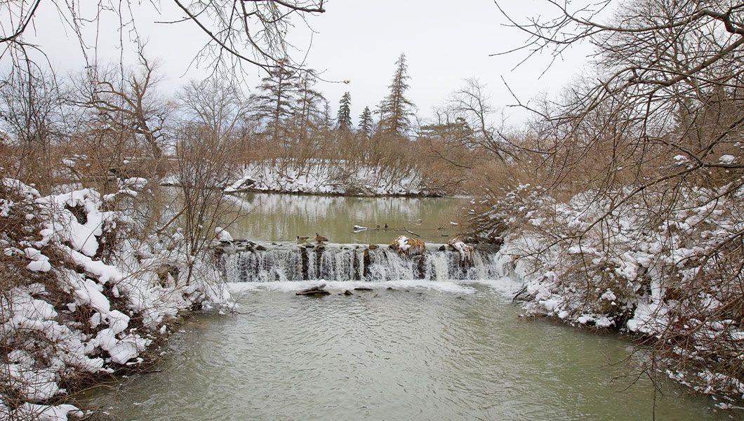 Dufferin Islands in Niagara Falls Canada - See Sight Tours