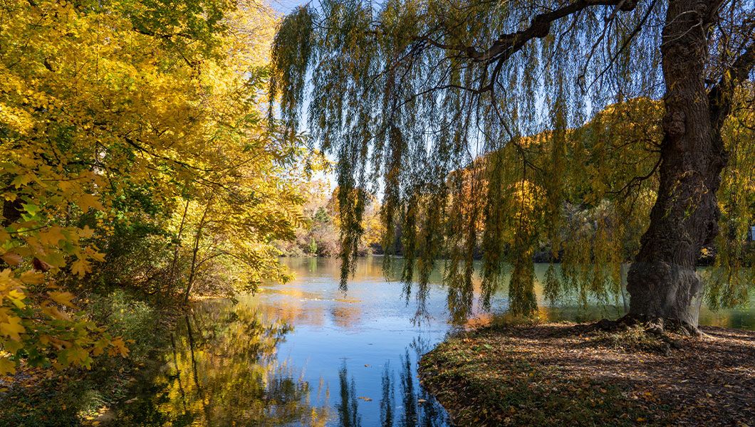 Dufferin Islands in Niagara Falls Canada - See Sight Tours