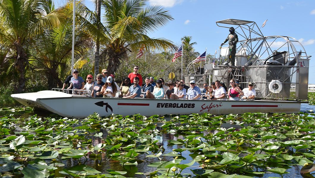 Everglades Safari National Park Airboat - See Sight Tours