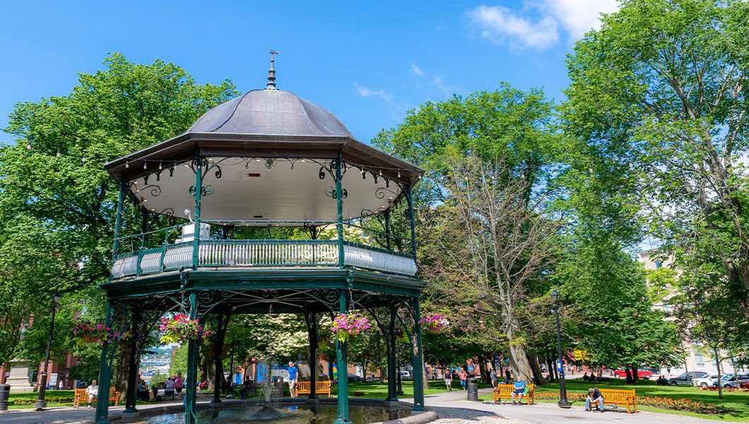 King Square Saint Johns - See Sight Tours