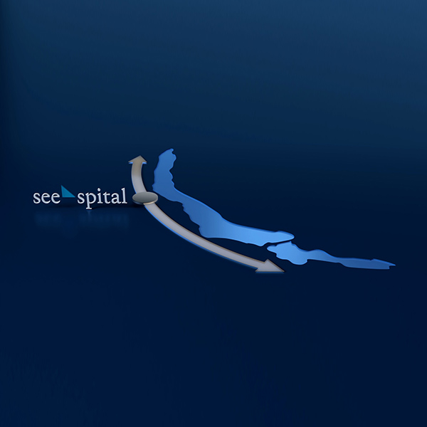 Strategie See-Spital