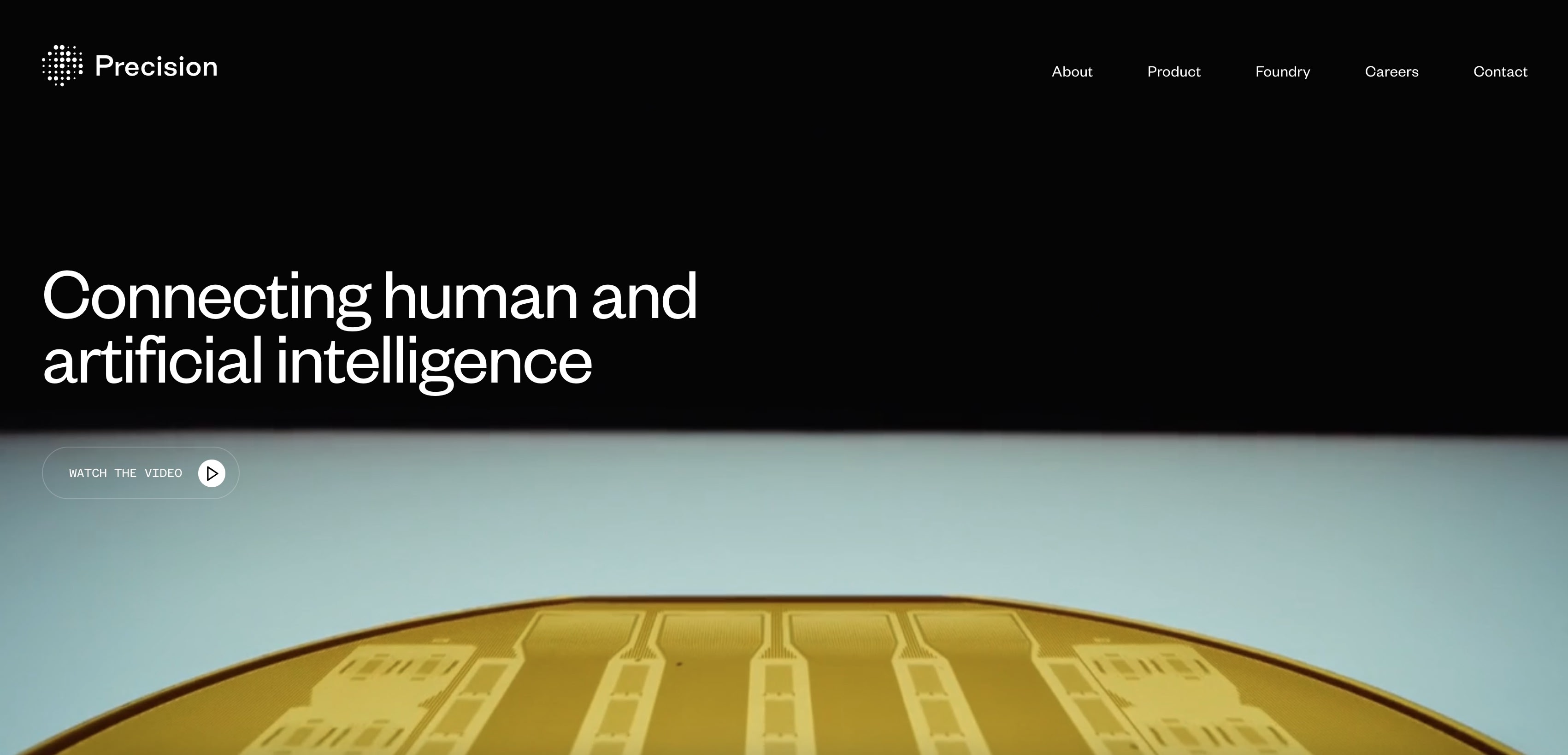 Precision Neuroscience — SEESAW