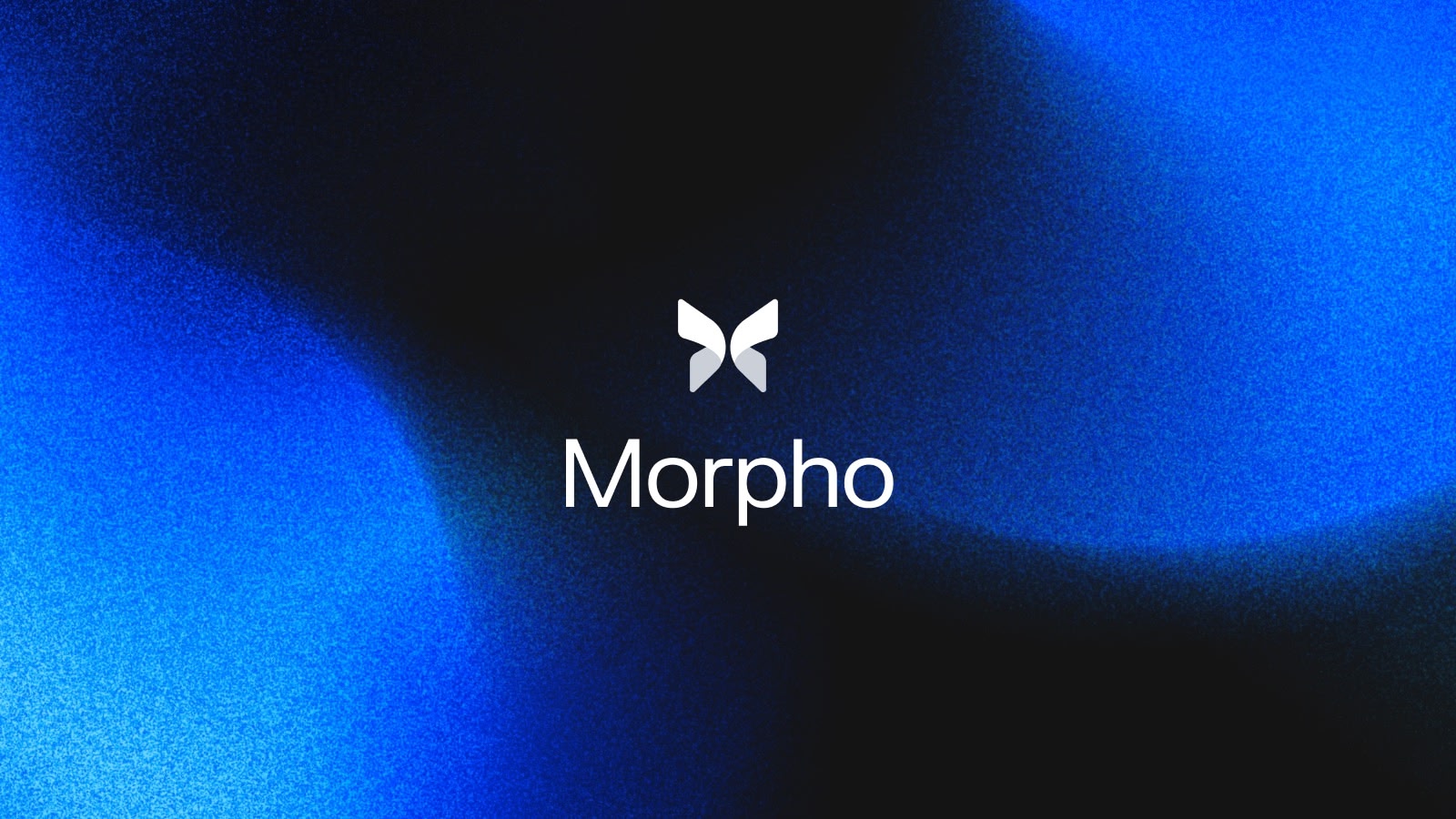 Morpho — SEESAW