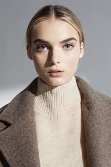 Development | Modellink