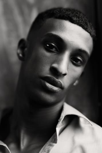 Development | Modellink