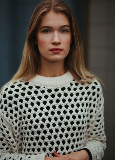 Development | Modellink