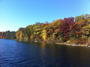 Shupac Lake Vacation Rental