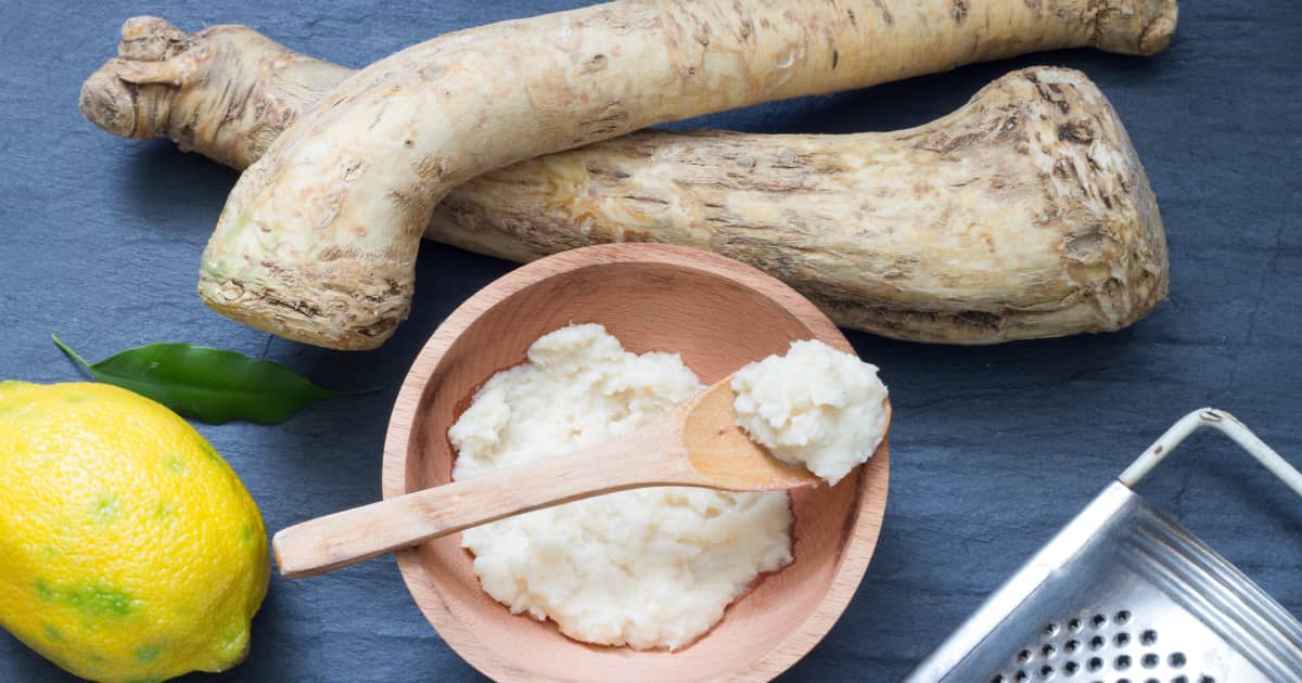 Recettes raifort : sauces et autres idées recettes | Zeste