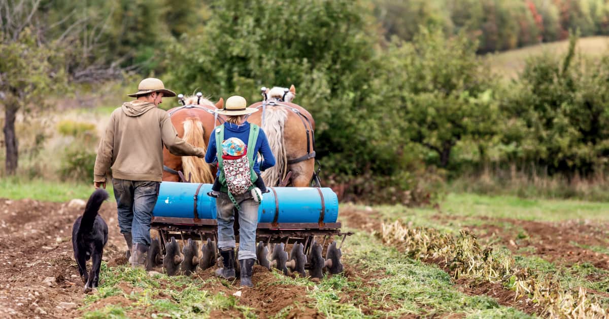 Fermiers de famille | Zeste