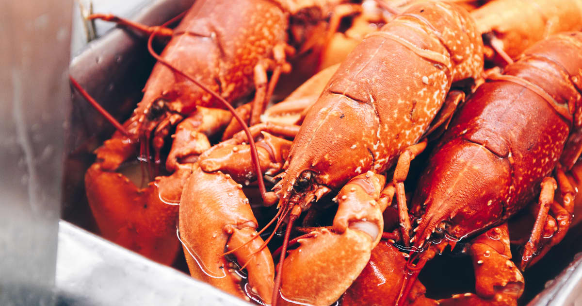 Comment cuire le homard : trucs et astuces d’experts | Zeste