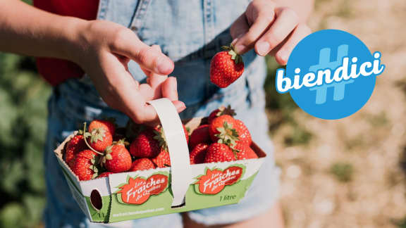 Ces champs permettent l'autocueillette de fraises du Québec! | Zeste