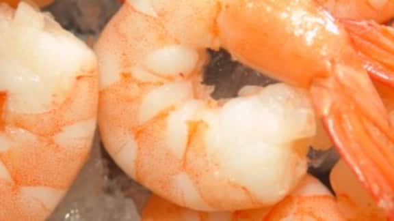 Crevettes Madagascar | Zeste
