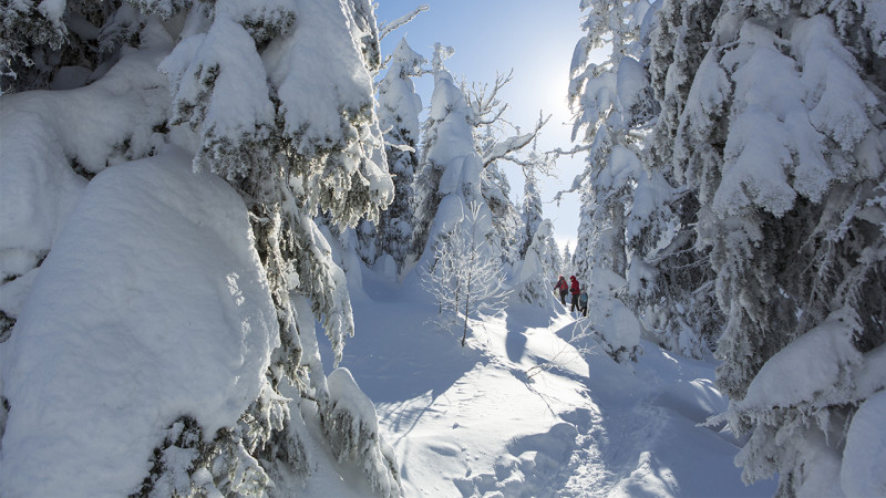 Les 4 plus belles randos hivernales des Monts-Valin | Espaces