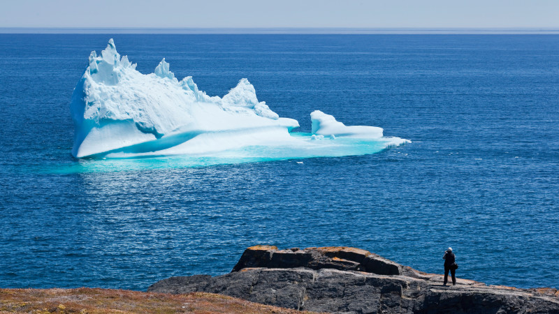 7 Randonnées Aux Icebergs à Terre Neuve Espaces