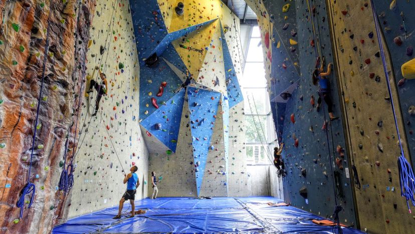 Escalade d'intérieur : Grimper entre quatre murs | Espaces