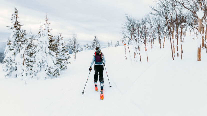 Tempête : Jusqu’à 40 cm de neige sur l'est du Québec | Espaces