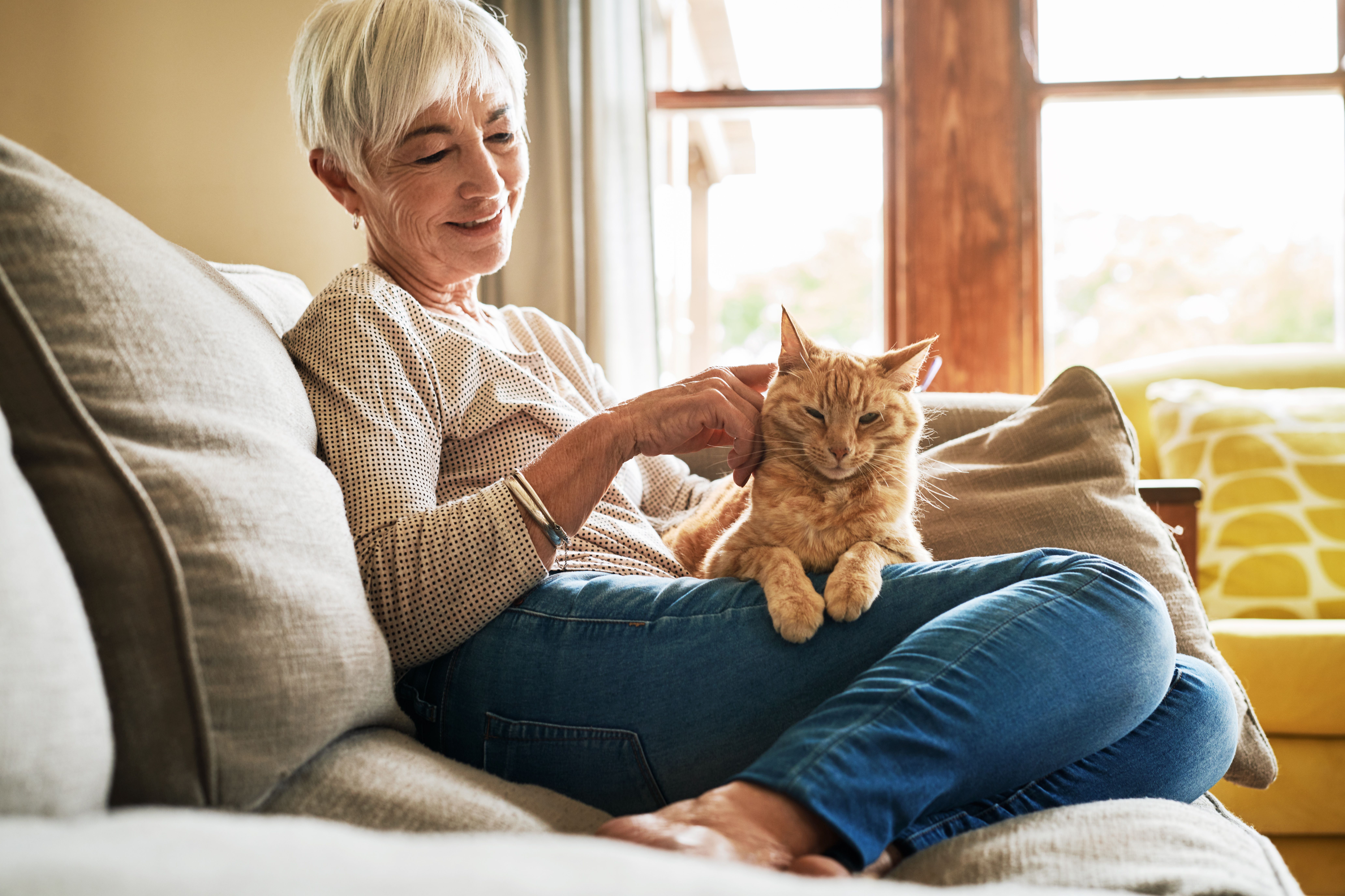 How animals can help you relax