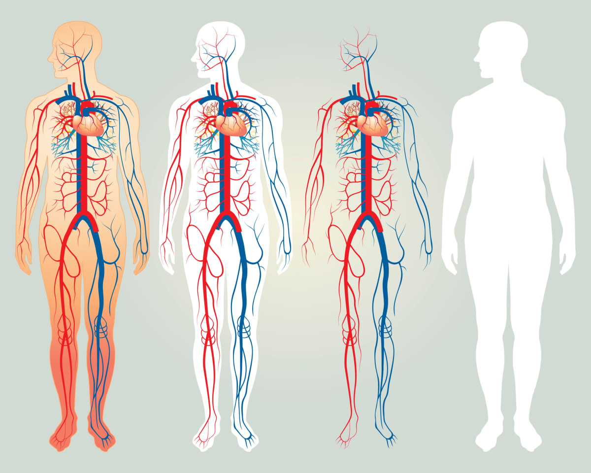 Elevating Your Legs: Improve Blood Circulation