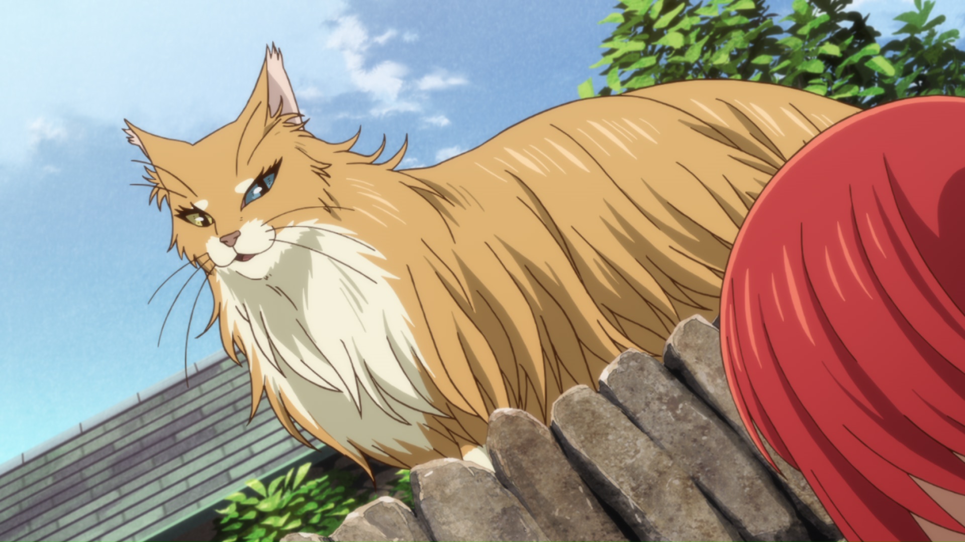 Watch The Ancient Magus' Bride Season 1 Episode 4 Anime on Funimation
