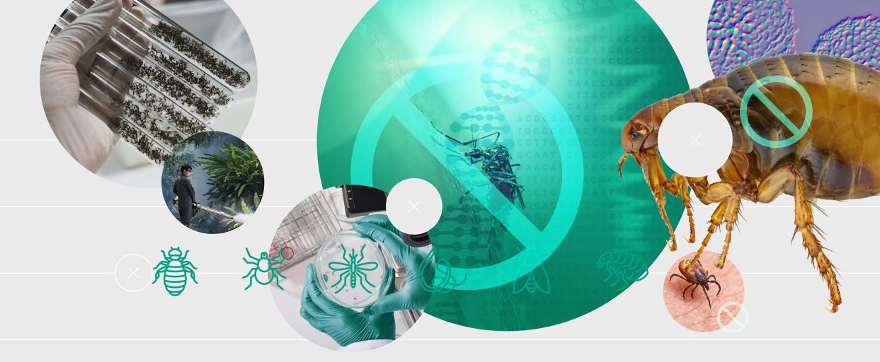 Vector control - GESDA Science Breakthrough Radar