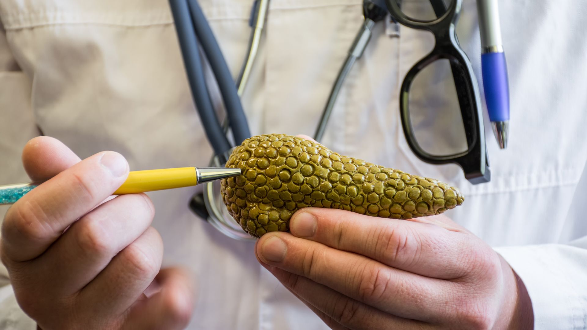 Exocrine pancreatic insufficiency: a glossary of terms - Sharecare