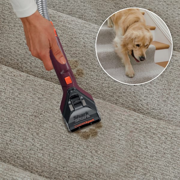 Shark CarpetXpert Deep Clean Pro Formula, 32oz - Carpet & Floor ...