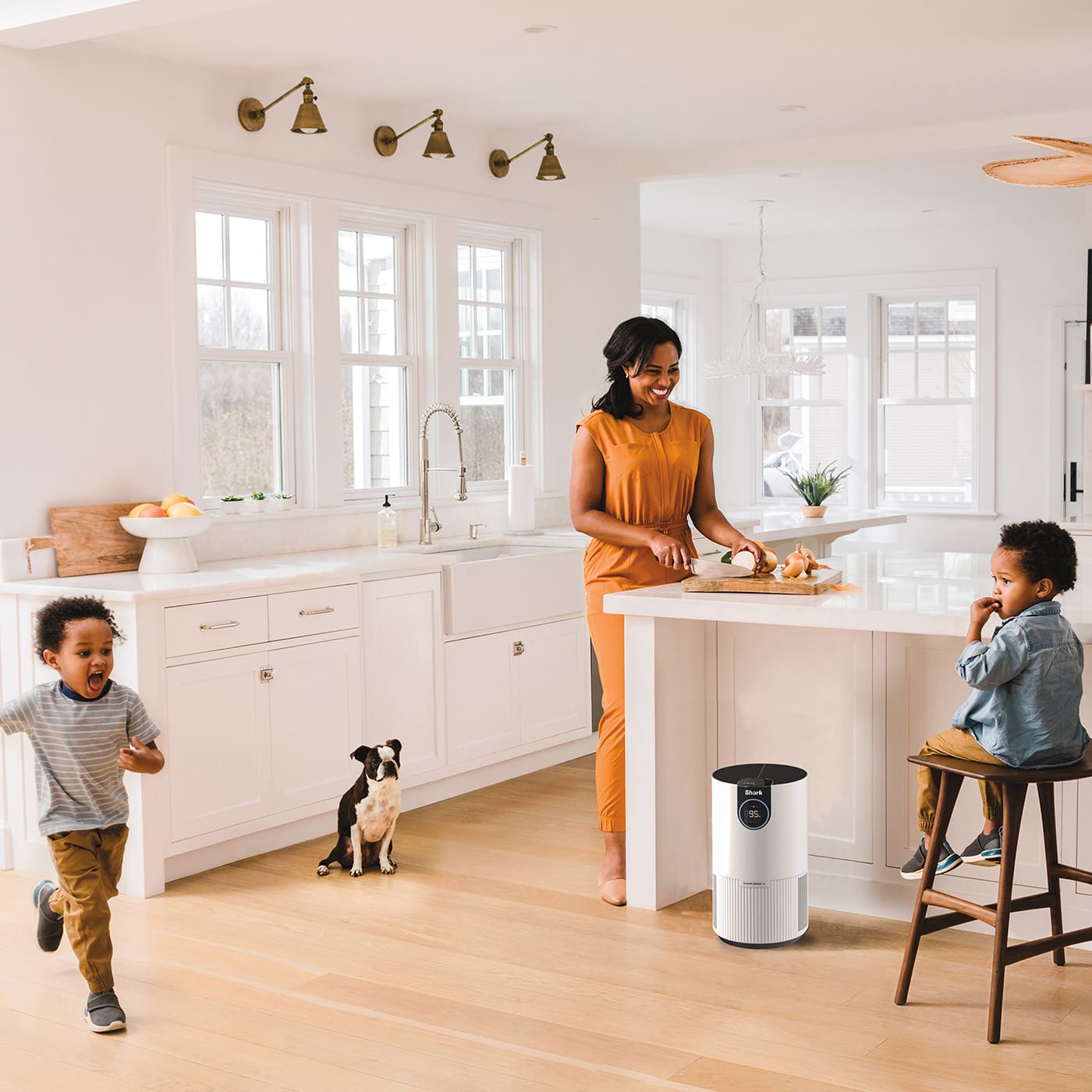 Shark Compact HEPA Air Purifier HP100UK - Shark Products