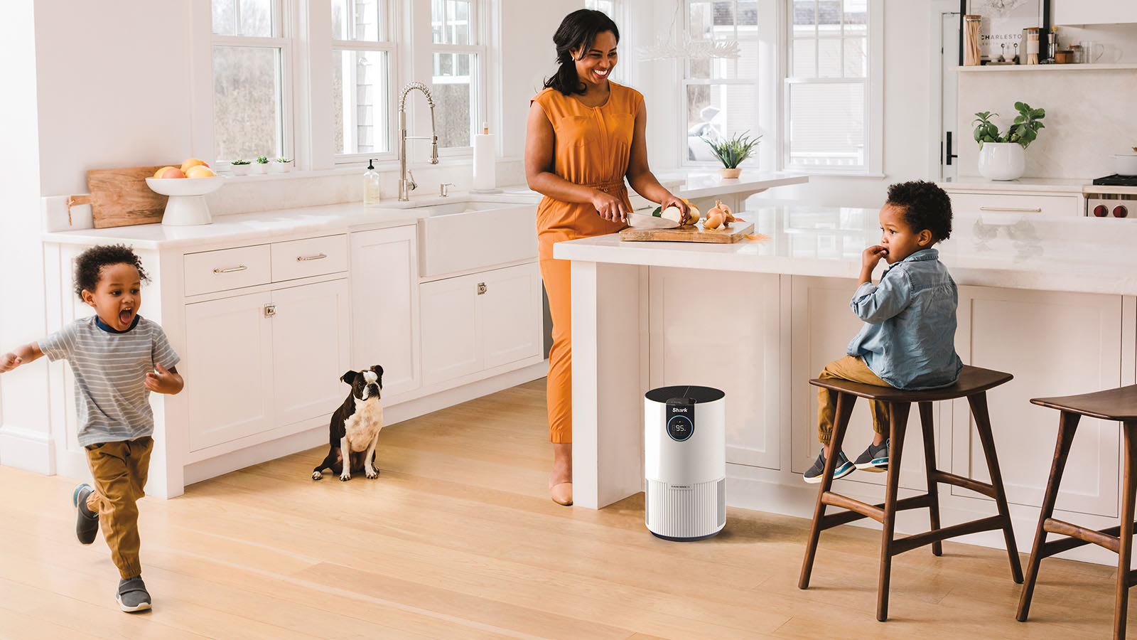 Shark Compact HEPA Air Purifier HP100UK - Shark Products