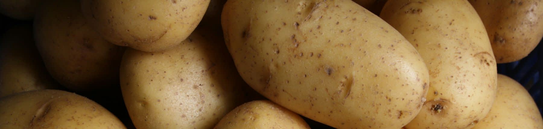 Jacket Potato Recipes & Cooking Tips | Spudman x Ninja Kitchen