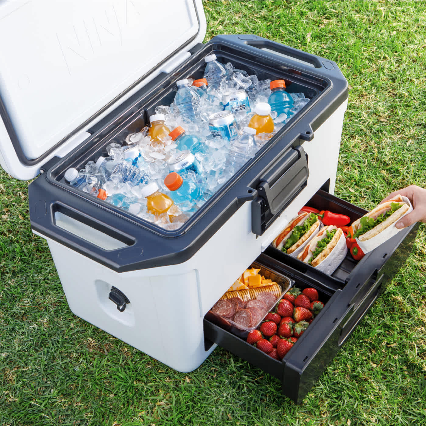 Ninja FrostVault Hard Coolers | Portable Cool Boxes