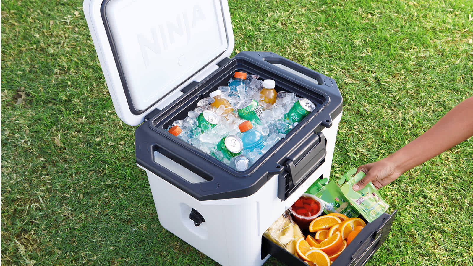 Ninja FrostVault 28L Small Cooler with Lockable Lid – White